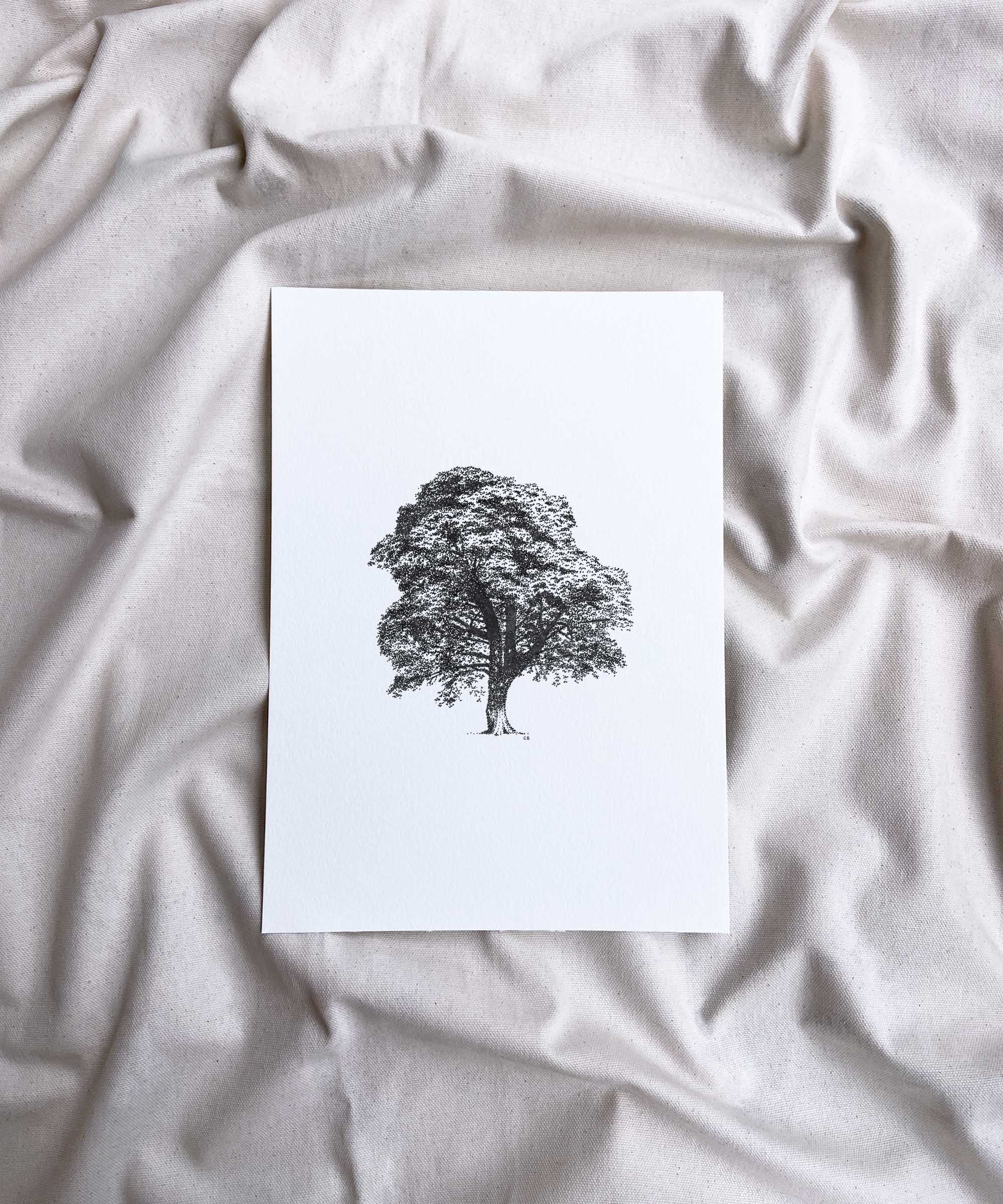 Prints – Catherine Bamber Art